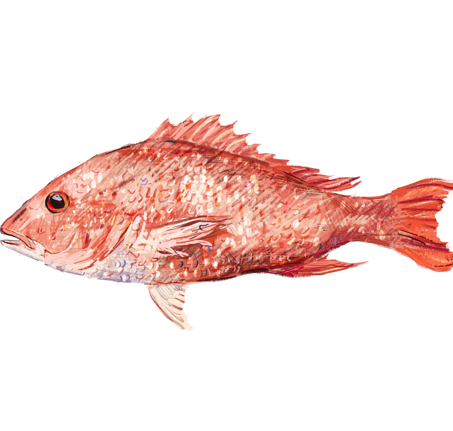 Texas Gulf Seafood | Fresh Outta Texas